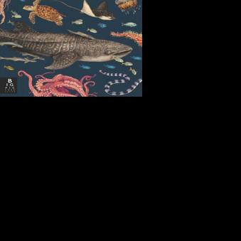 Books and Reviews: Oceanarium | Books And Reviews | thesuburban.com