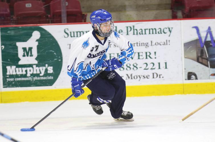 Four medals for LSL area ringette teams at A-B provincials | Sports ...