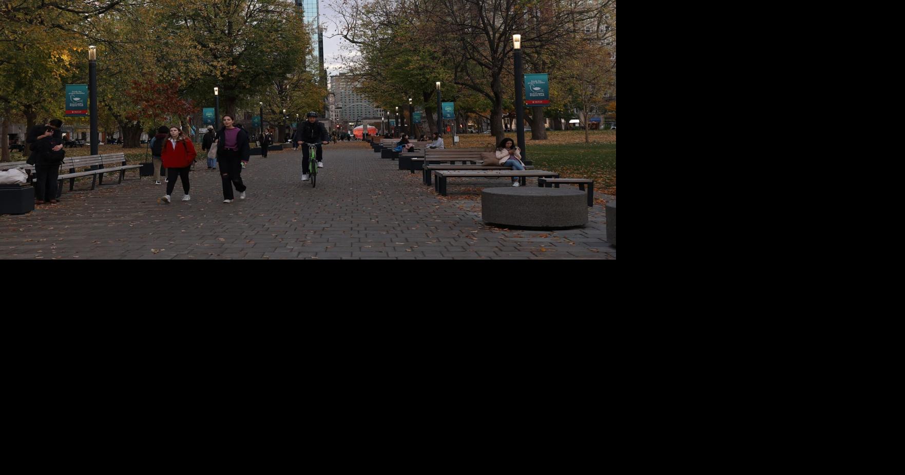 Quebec has Canada's least diverse cities: Census | City News ...