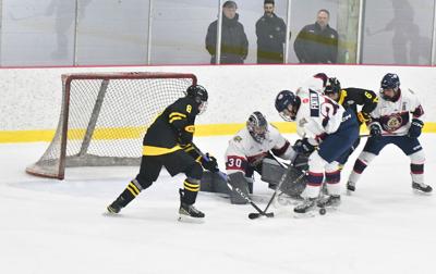 Lions rebound from home loss for road win | Sports | thesuburban.com