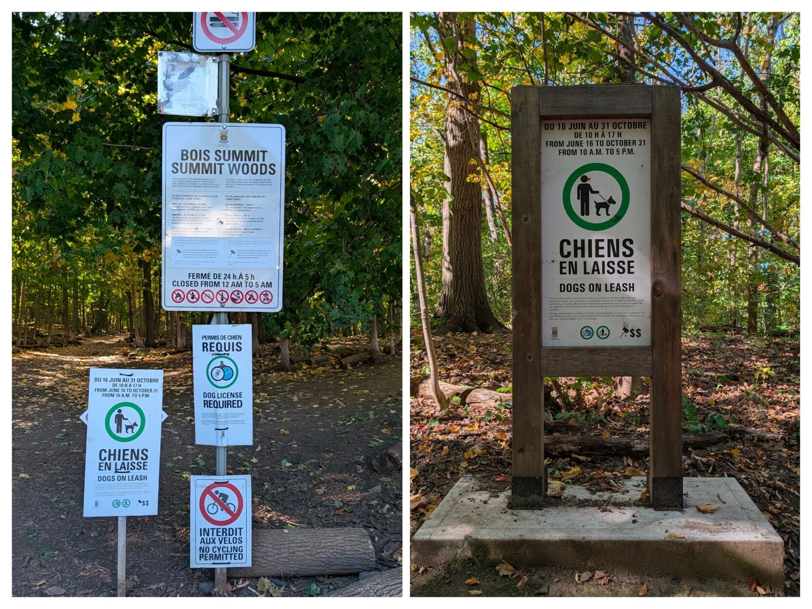 Westmount's Summit Woods dog park still a point of contention | City ...