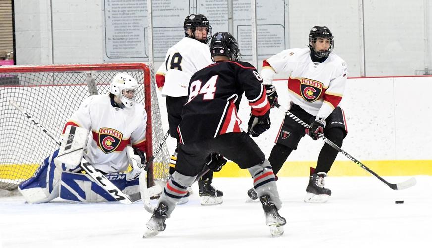 Hockey Day in Cote St. Luc delivers fun and funds with successful event ...