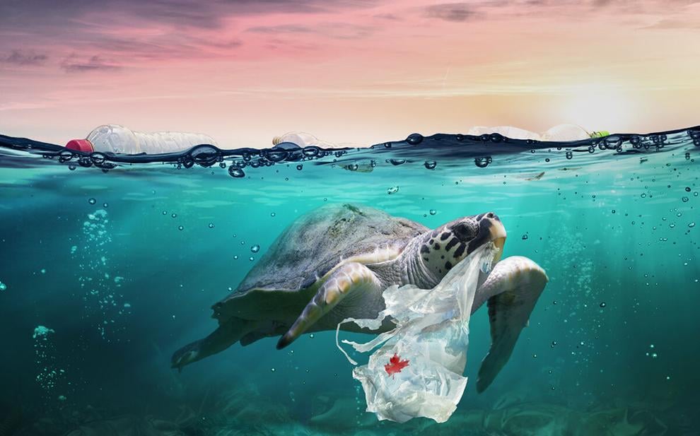 Drowning In Plastic New Report Shows Canada Contributes