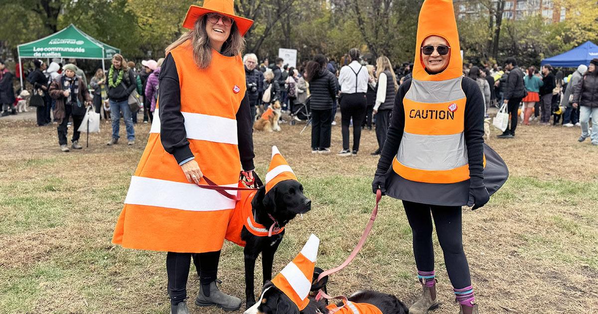 Hundreds of costumed pups strut their stuff in Outremont | Pets ...