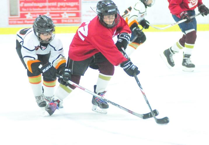 SLAP Hockey road trips to Pierrefonds | Sports | thesuburban.com