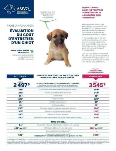 Is your pooch a mooch? Cat draining the kitty? | Fyi | thesuburban.com