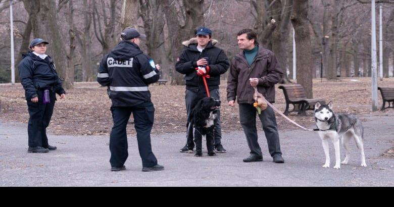 303 tickets issued by SPVM and SQ for violations of guidelines on ...