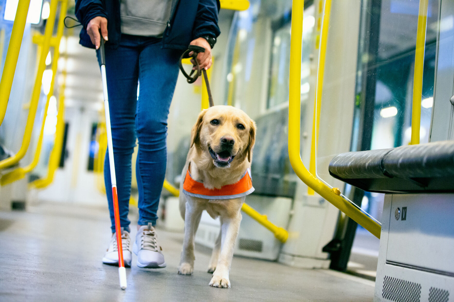Service dogs cost a lot of money, and the government should help ...