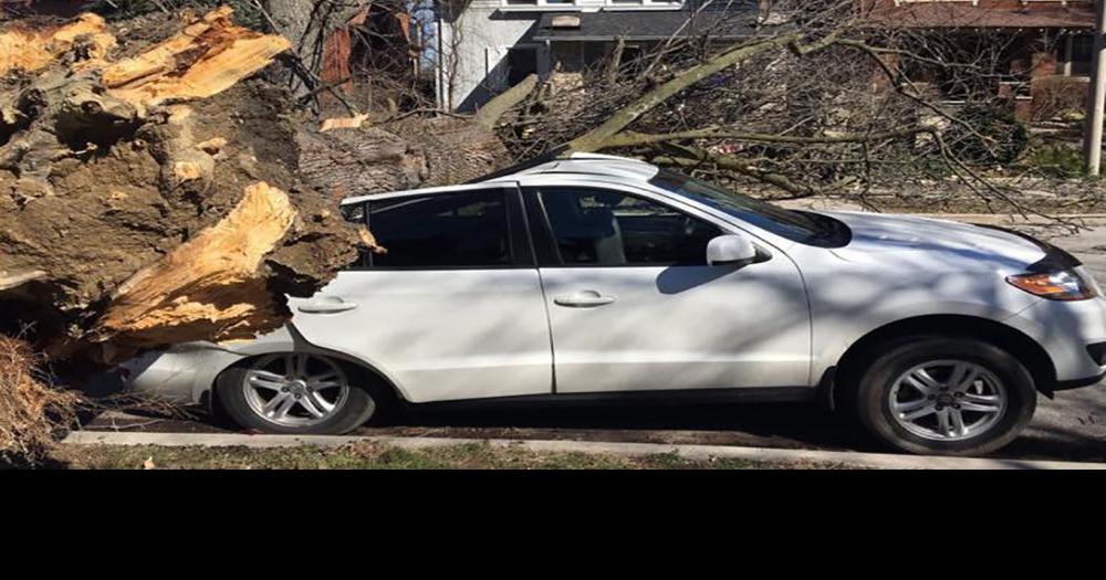 Wild windstorm blasts Ontario and Great Lakes basin | Suburban Weather ...