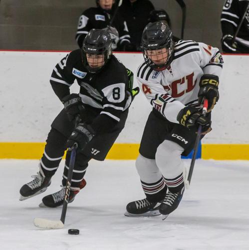 Last second heroics delivers tie to U15 AAA Elite Lions | Sports ...