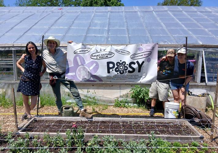 Jeremy Wexler: Join the Posy club | Home & Garden | thesuburban.com