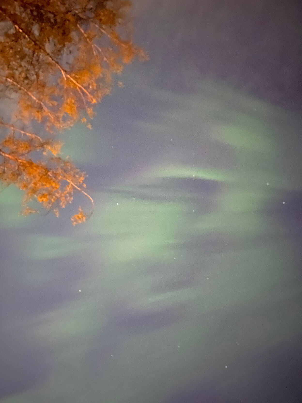 The Northern Lights were simply spectacular in Montreal | Suburban ...