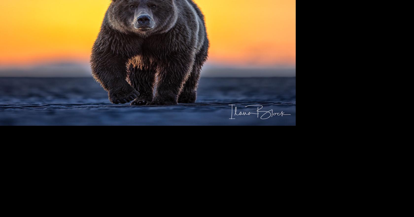 Wildlife photographer, animal lover and naturopath: Ilana Block set for ...