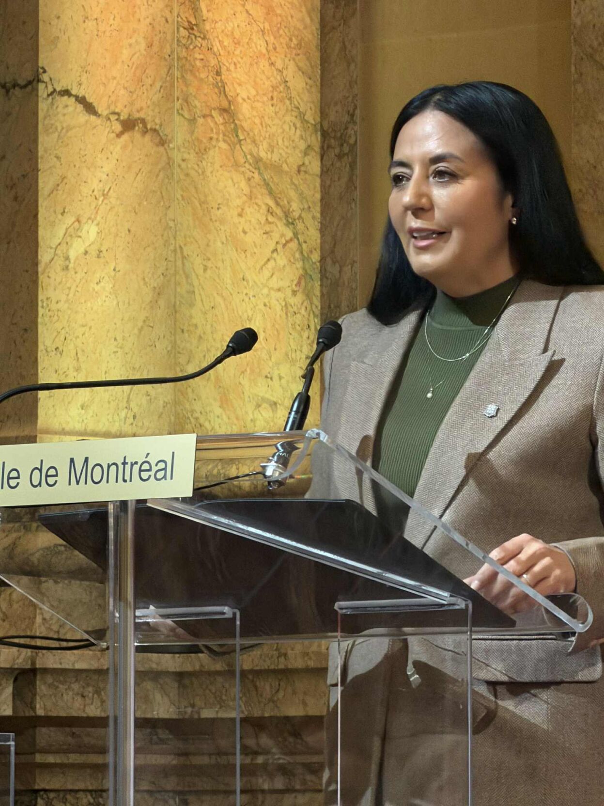 Mayor Martinez Ferrada names Montreal’s Executive Committee | City News ...