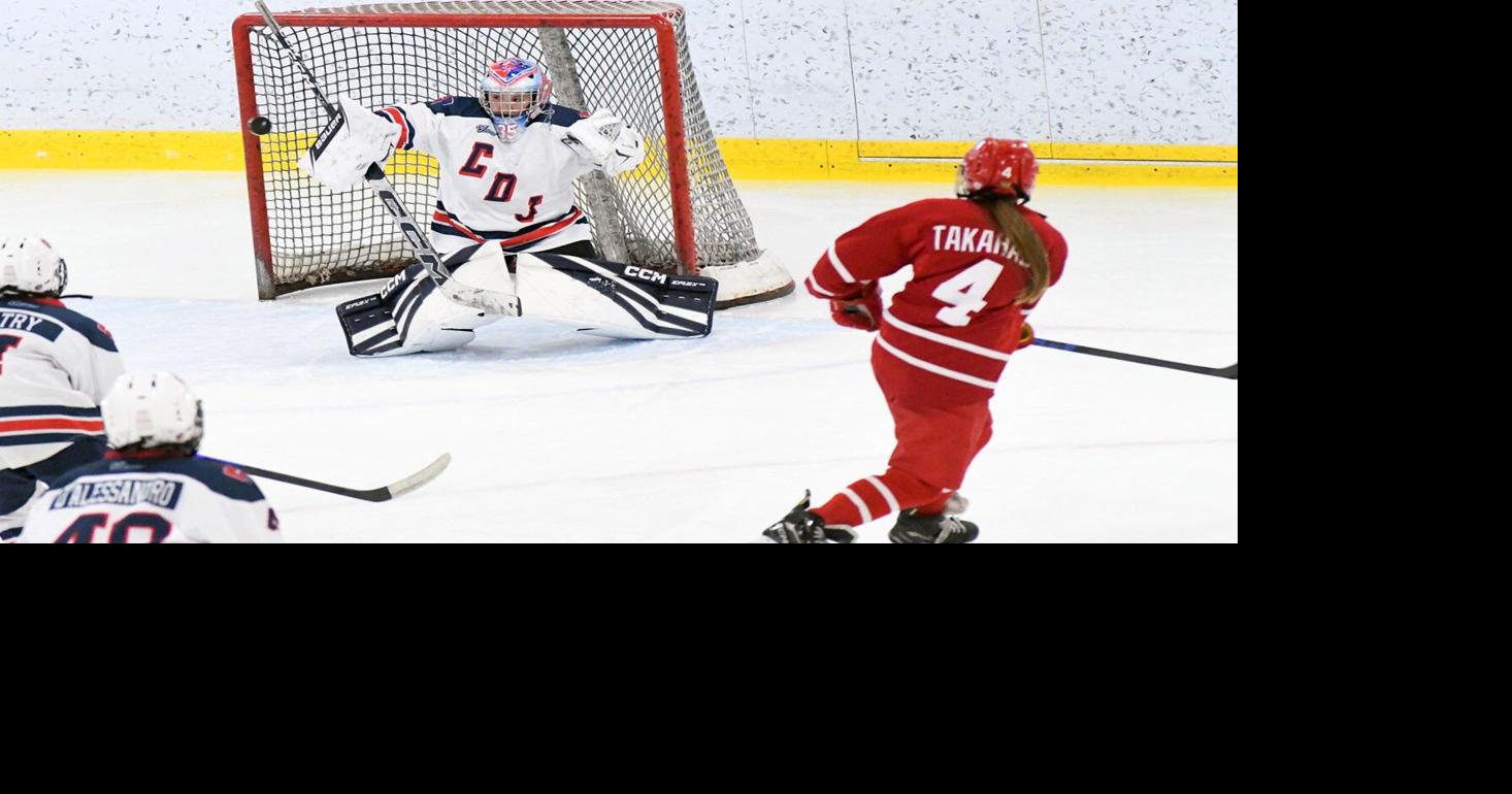 Predators pounce on Citadins in U14 Division III play | Sports ...