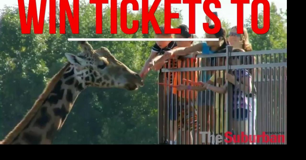CLOSED: Suburban Hello Summer Contest: Parc Safari | Contests ...