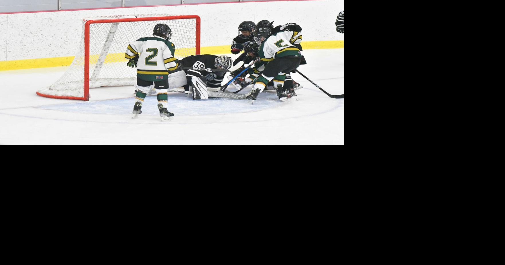 Lions 1 split their opening weekend in U13 AAA LEHQ play | Sports ...