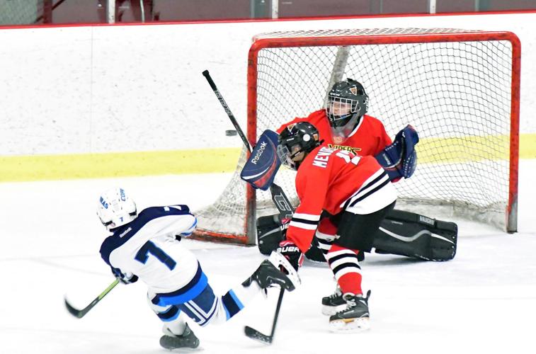 Cobras come out on top in battle of the snakes | Sports | thesuburban.com