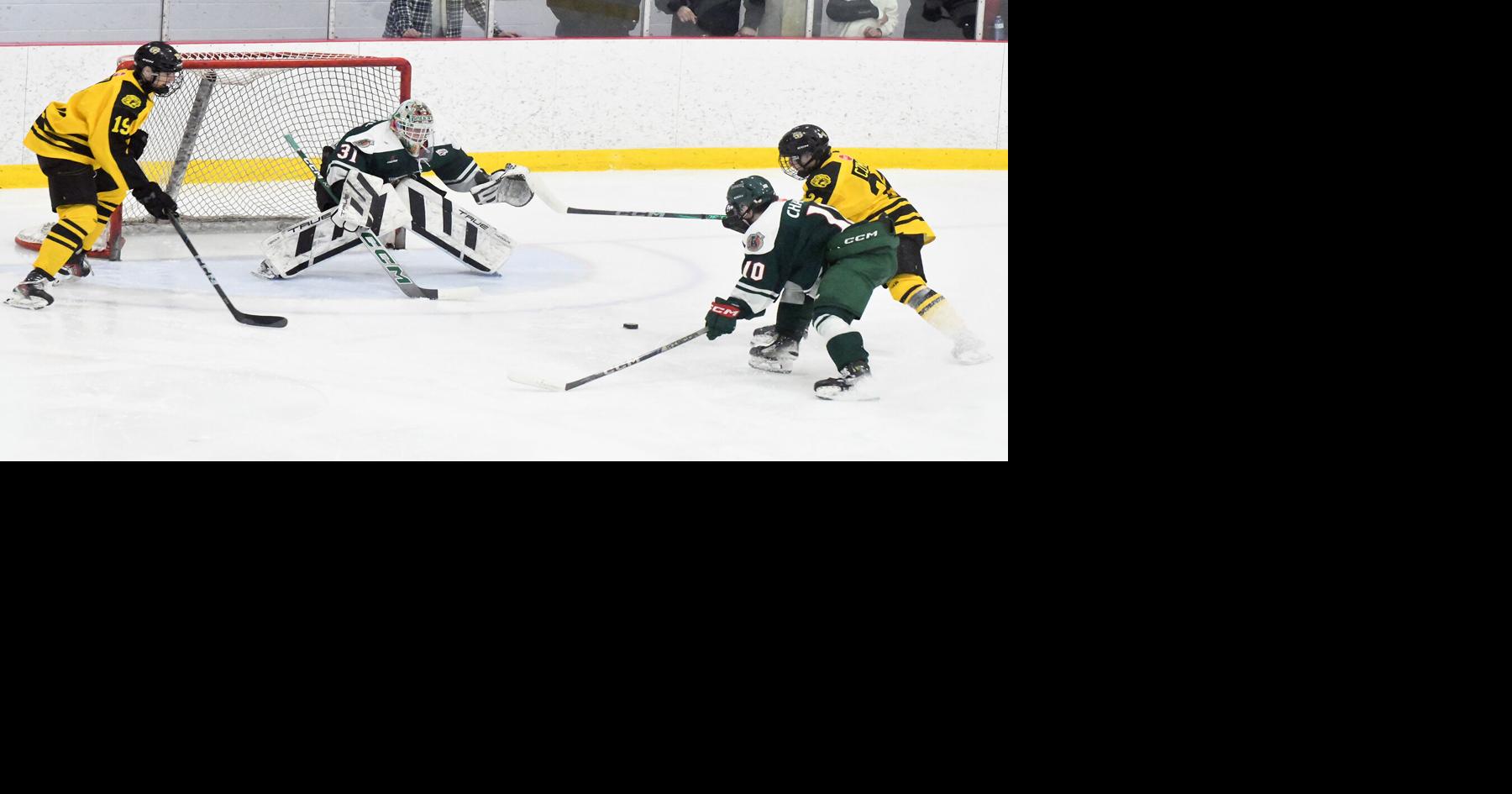 Lions eliminated from Jimmy FERRARI Cup race | Sports | thesuburban.com