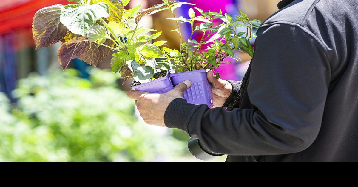 The Great Gardening Weekend returns May 26 to 28 | | thesuburban.com