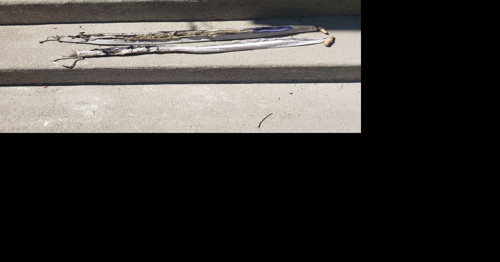 Flags burned in Hampstead - Mayor stands defiant | City News ...