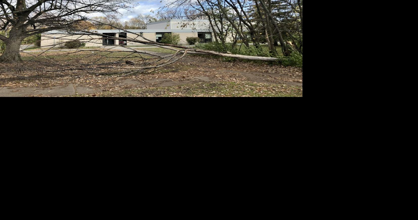 Beaconsfield’s Bourelle asks Hydro to clarify tree cutting activity ...