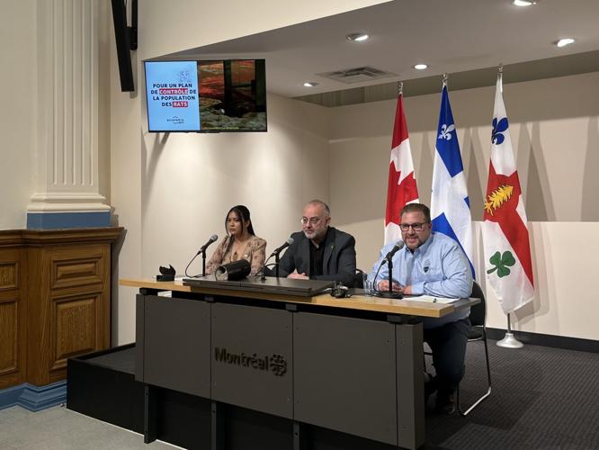 Ensemble Montreal unveils rat control plan | City News | thesuburban.com