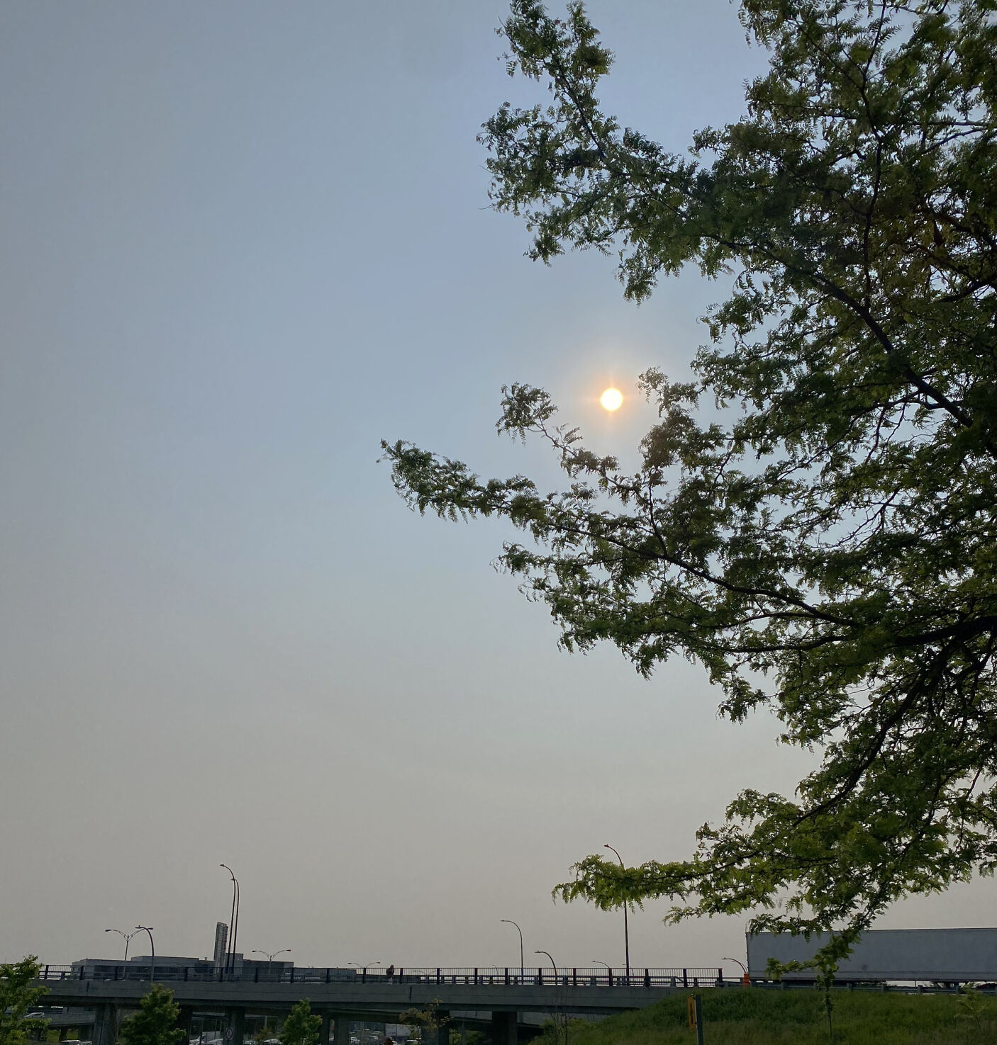 Western wildfire smoke drifts into southern Quebec | Suburban Weather ...