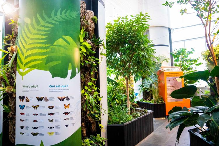 The latest from Ottawa: The Royal Canadian Mint, Butterflies and ...
