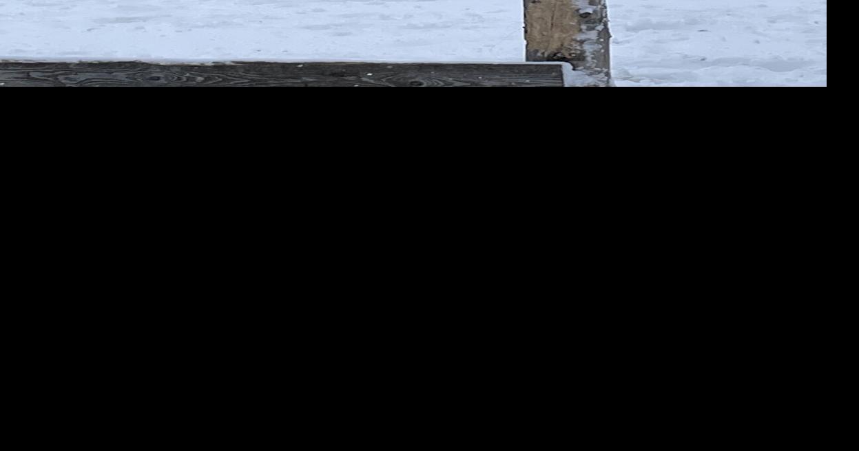 Community Spotlight: A Horse Tale | Pets | thesuburban.com