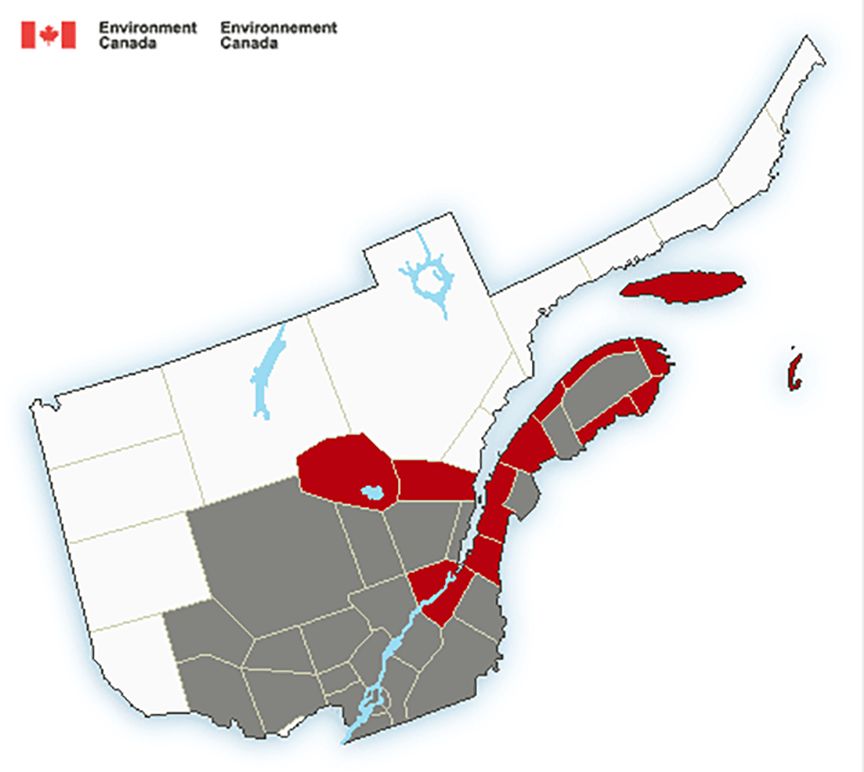 Strong winds cut power in Montreal | Suburban Weather | thesuburban.com