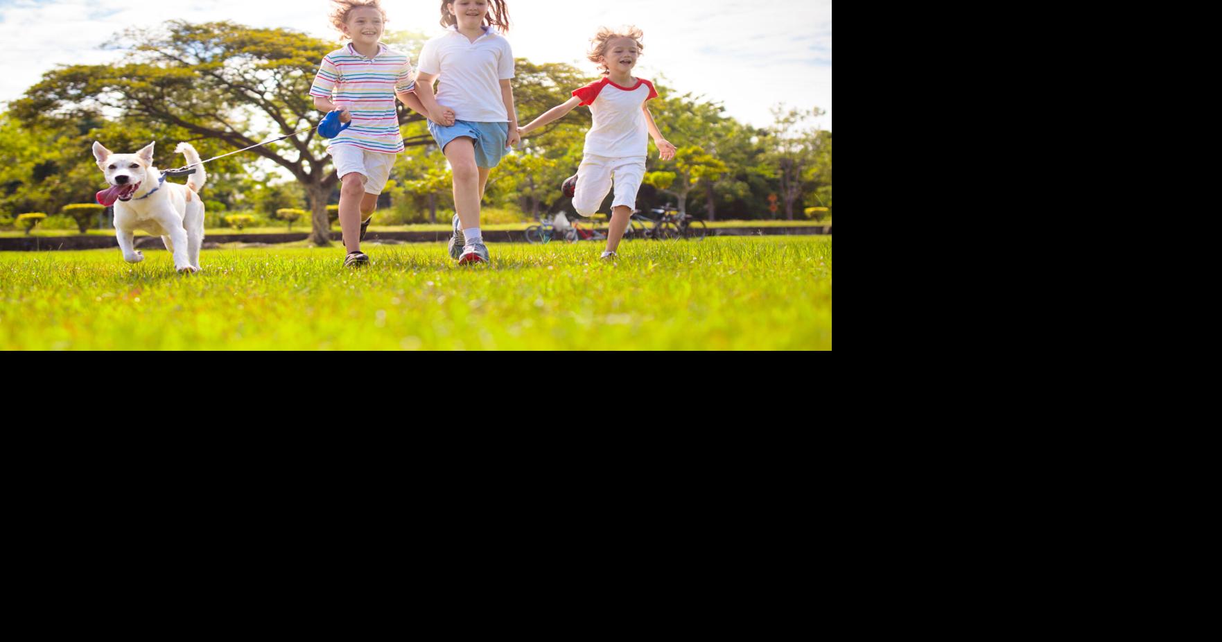 The Suburban Family and Pet Day now scheduled for September 7 ...