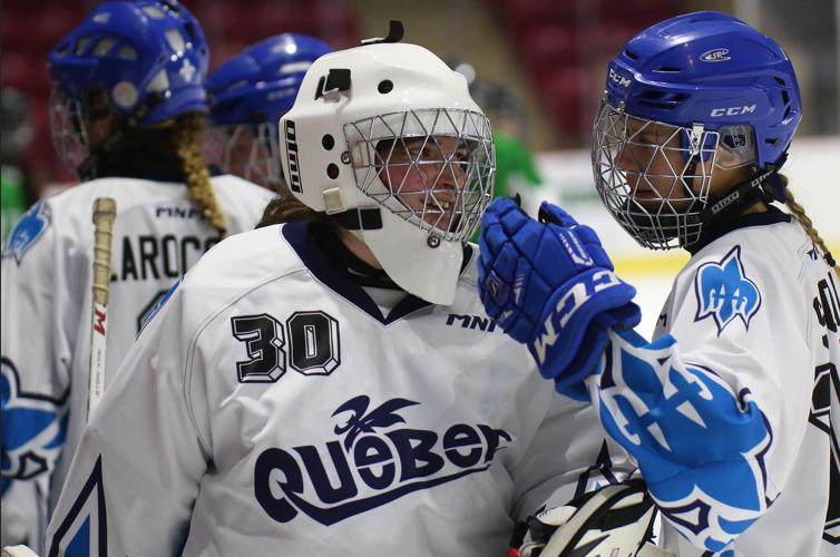 Four medals for LSL area ringette teams at A-B provincials | Sports ...