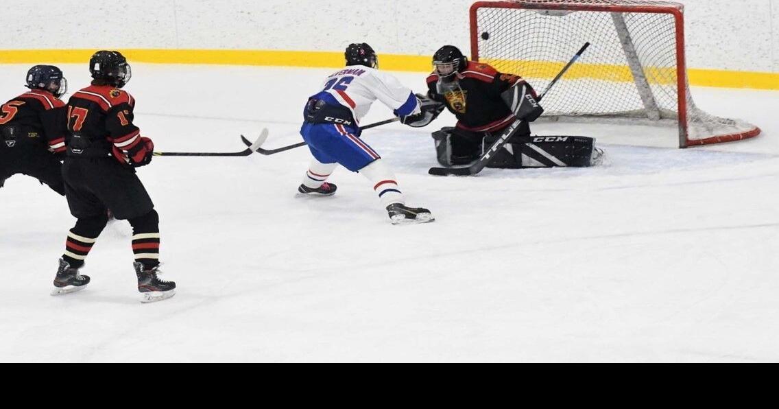 Vipers rally falls short in loss to Lakeshore | Sports | thesuburban.com