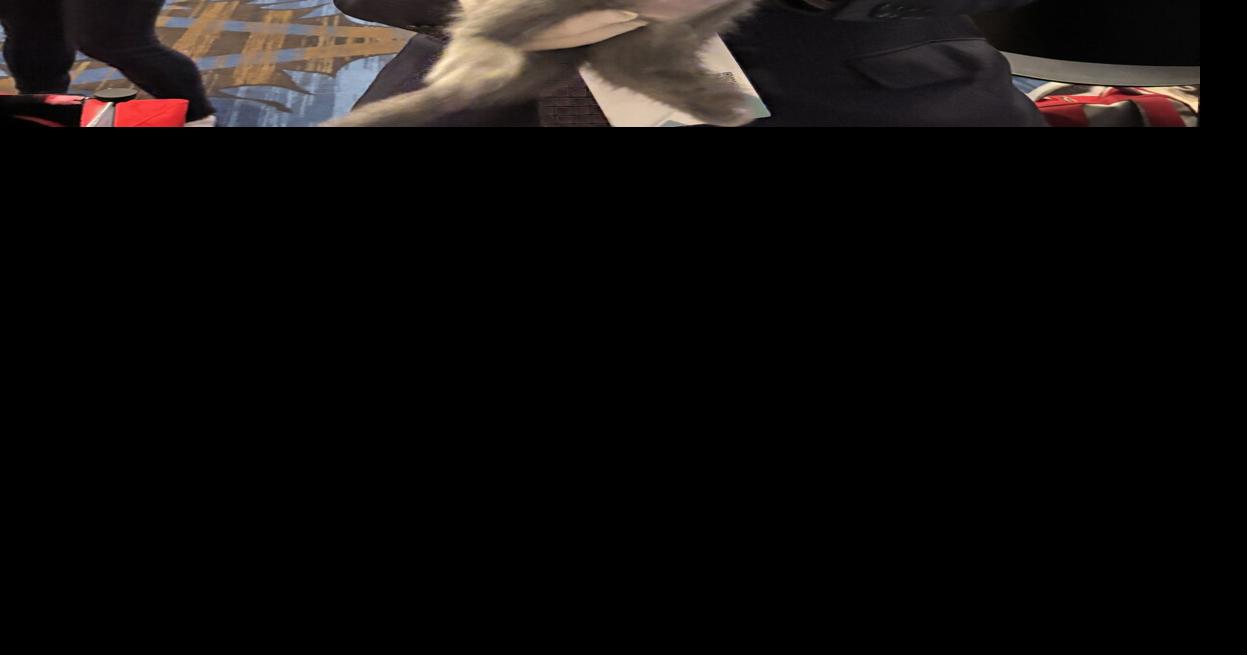 Takeaways from the 2025 Humane Canada Summit on Animals in Montreal ...