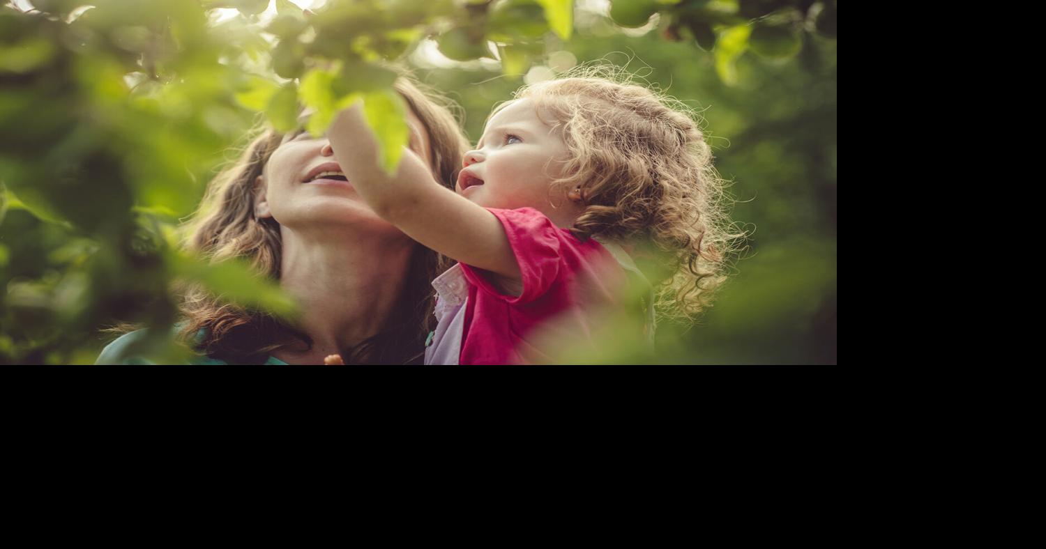 Canada encourages everyone to get involved in Tree Check Month | Home ...