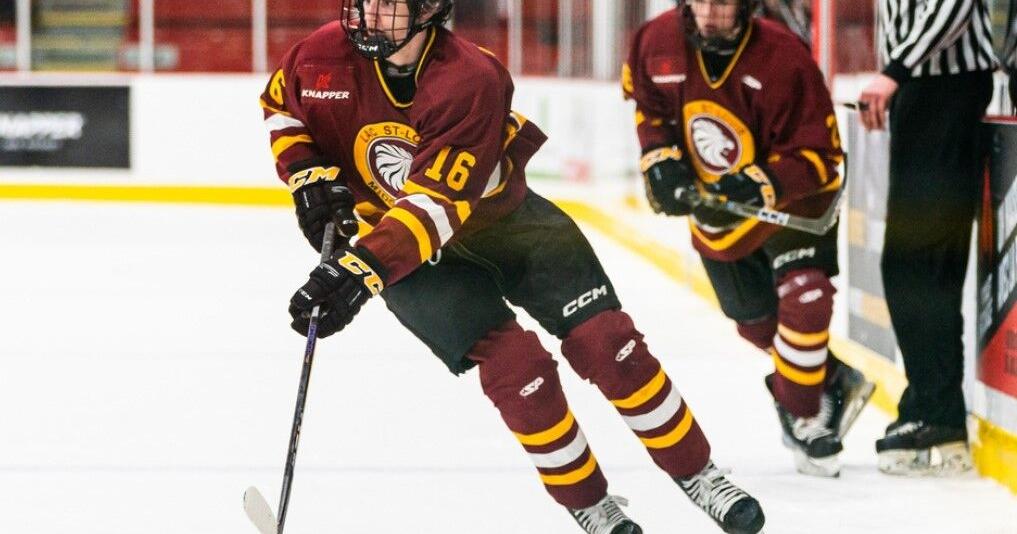 Two Lac St. Louis Region alumni caught in the draft | Sports ...