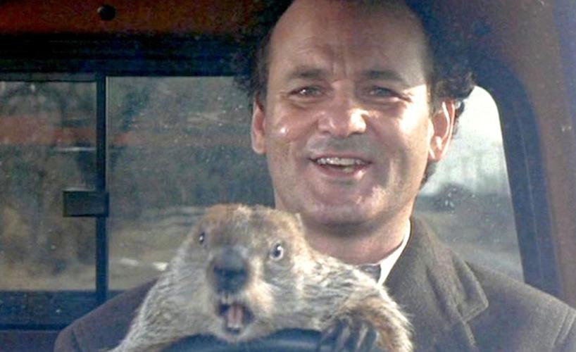 Bernard Mendelman: Coming out party for groundhogs | Bernard Mendelman ...
