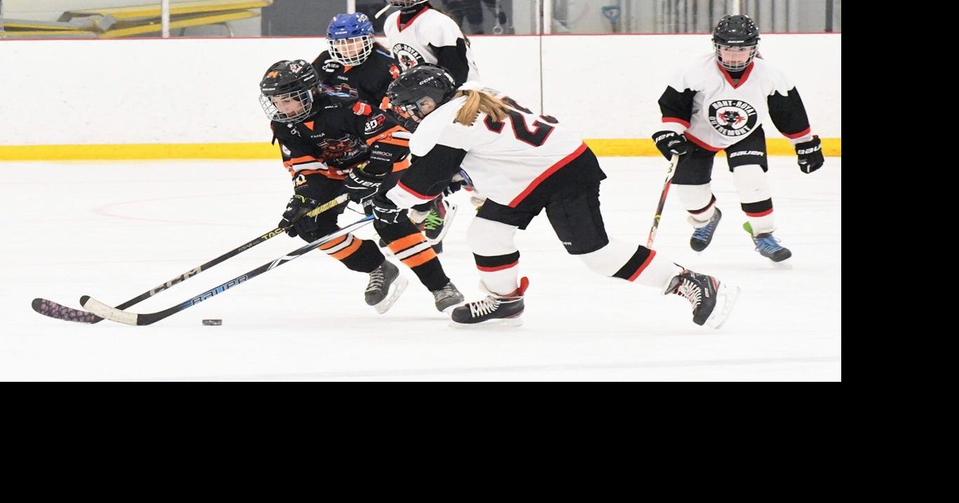 Banshees erupt for win over the Force | Sports | thesuburban.com