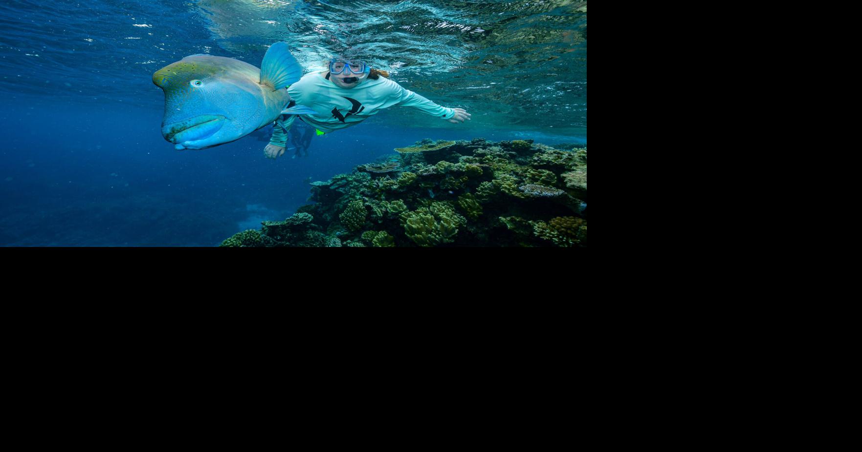 Highland native uncovering secrets of Great Barrier Reef in Australia ...