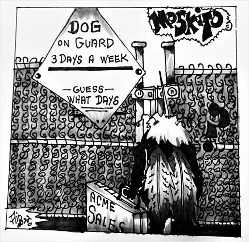 Moskito | News | thesuntimes.com