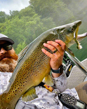 Seeing double: Angler has twin fishing tales from Little Red River ...