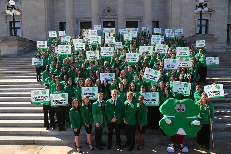 Seeing green: 4-H members visit Capitol | News | thesuntimes.com