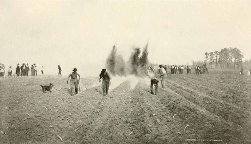 Once upon a time, life on the farm was a blast | History ...