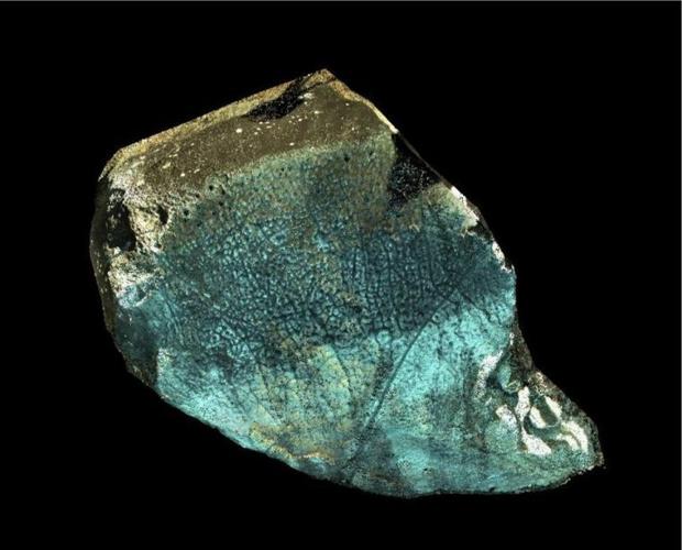 Laser scan of Judaculla Rock | News | thesylvaherald.com