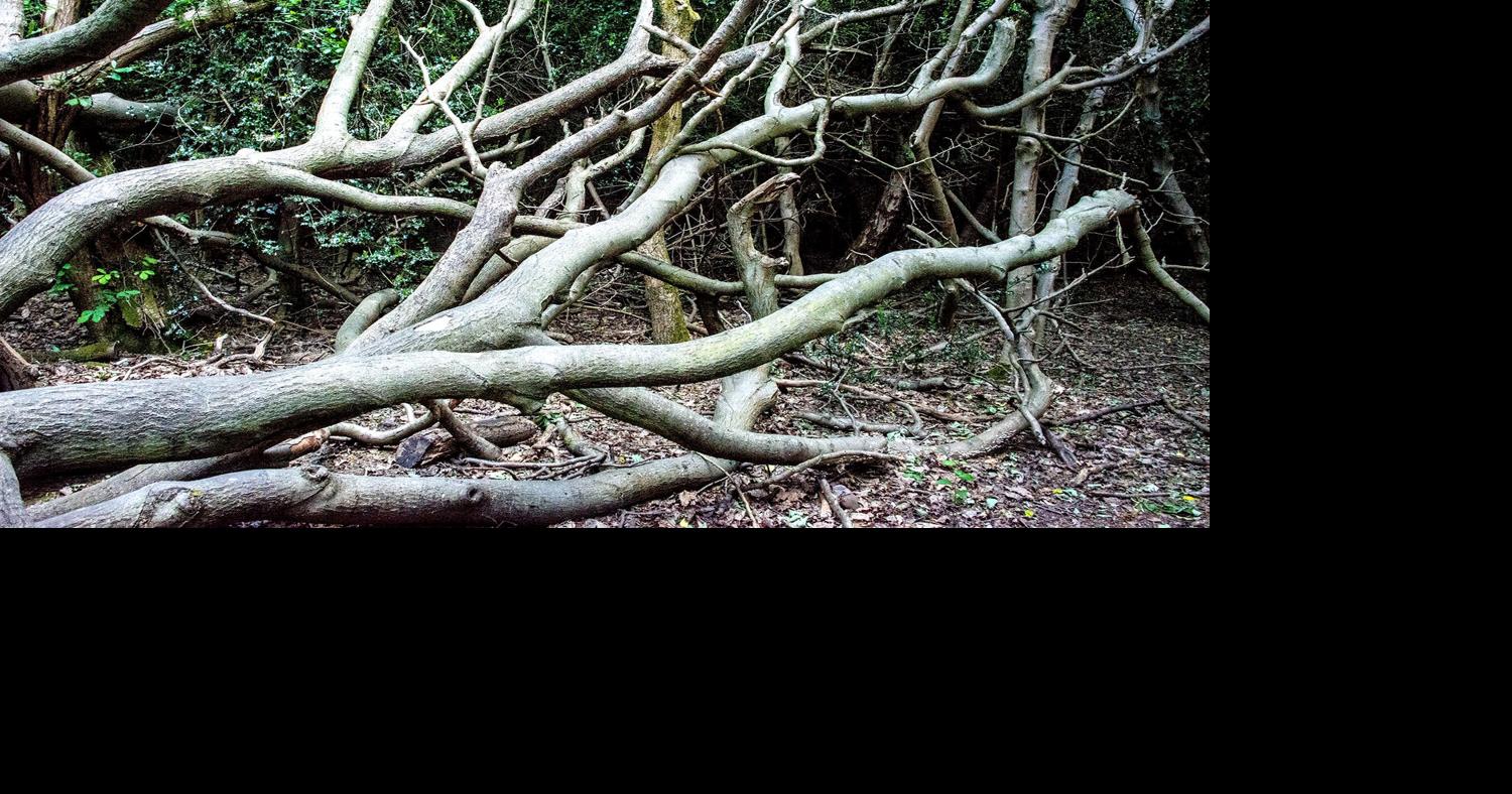 An ancient German gardening method remains viable | Farm News ...