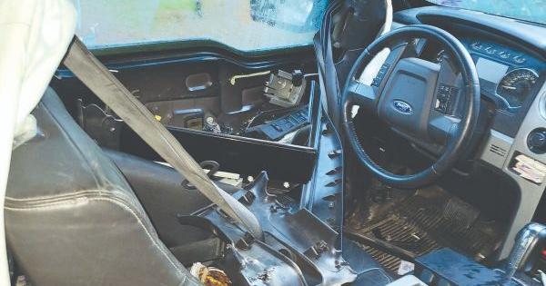 Bear gets locked in car, shreds interior | Top Stories | thesylvaherald.com