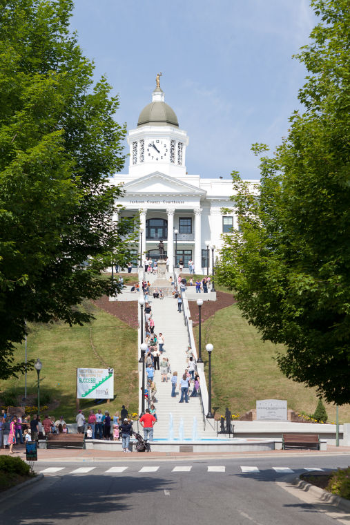 Library Book Brigade | Photo Galleries | thesylvaherald.com