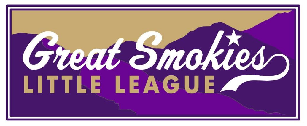 Fairview to host little league All Stars games | Sports ...