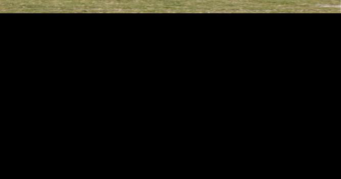 Buskey’s late goal lifts SM to win over E. Henderson | Smoky Mountain ...